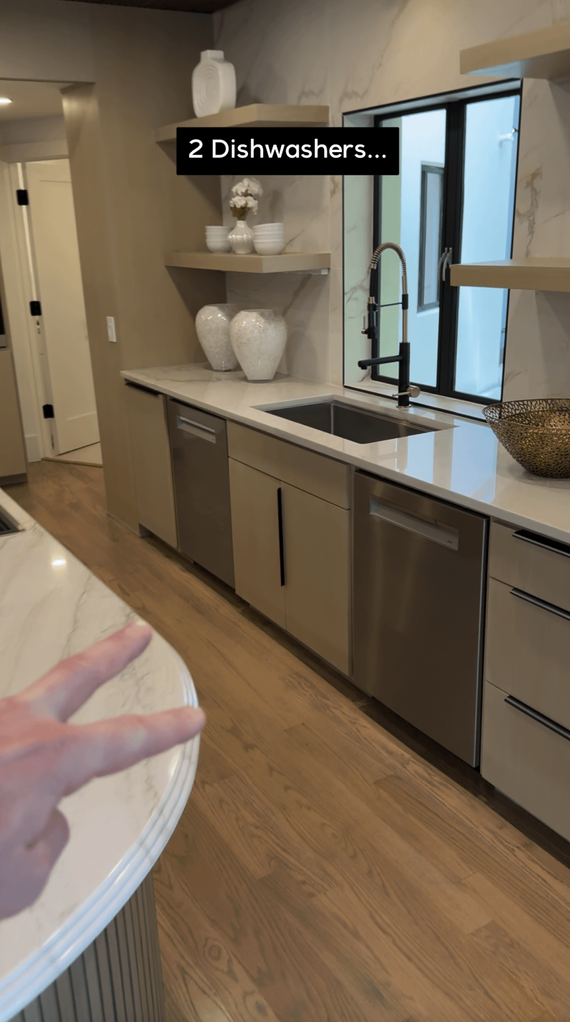 Do People Have 2 Dishwashers in Their Kitchen? Surprising Trends ...