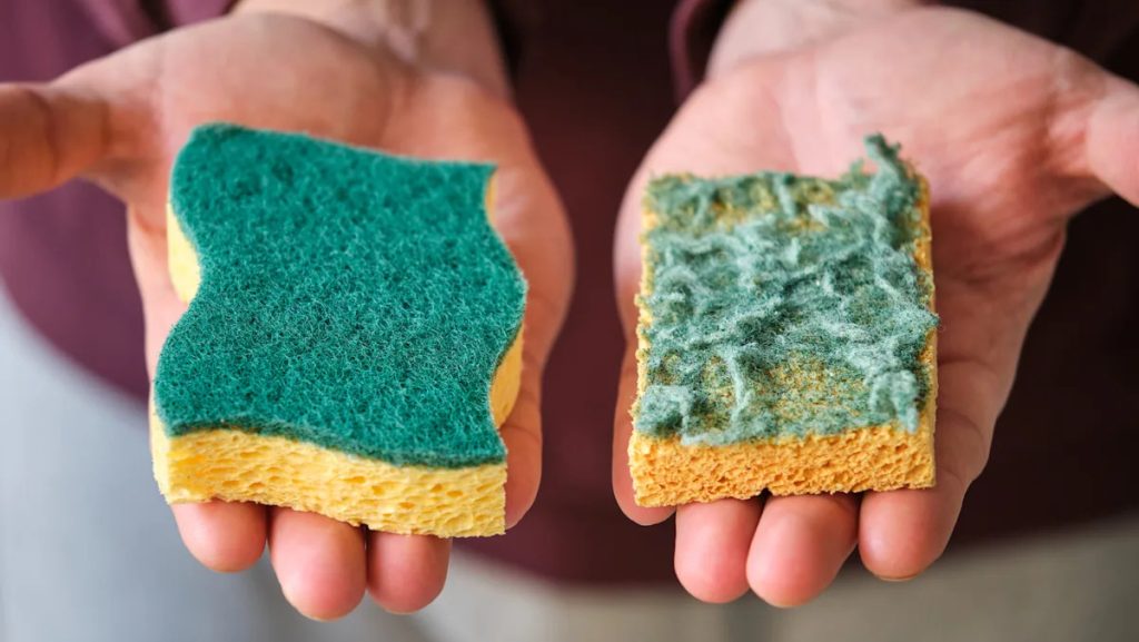 How Long Should You Keep a Kitchen Sponge: Essential Hygiene Tips ...