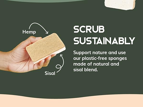 What is a Kitchen Sponge Made of: Surprising Facts Revealed ...
