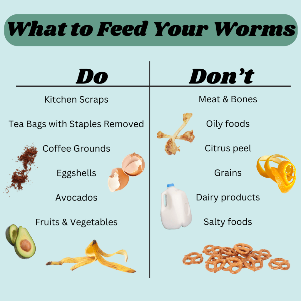 What Kitchen Scraps to Compost: Ultimate Guide for Eco-Friendly Waste ...